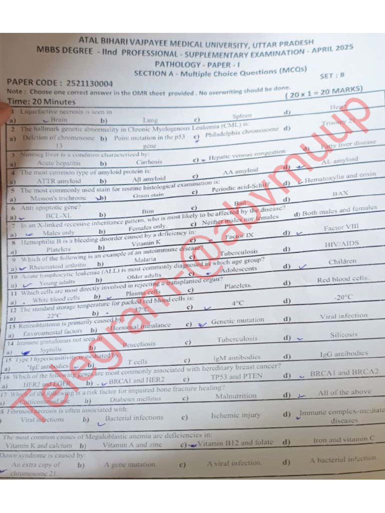 22 Batch Supply 2nd Year Abvmuup | PDF