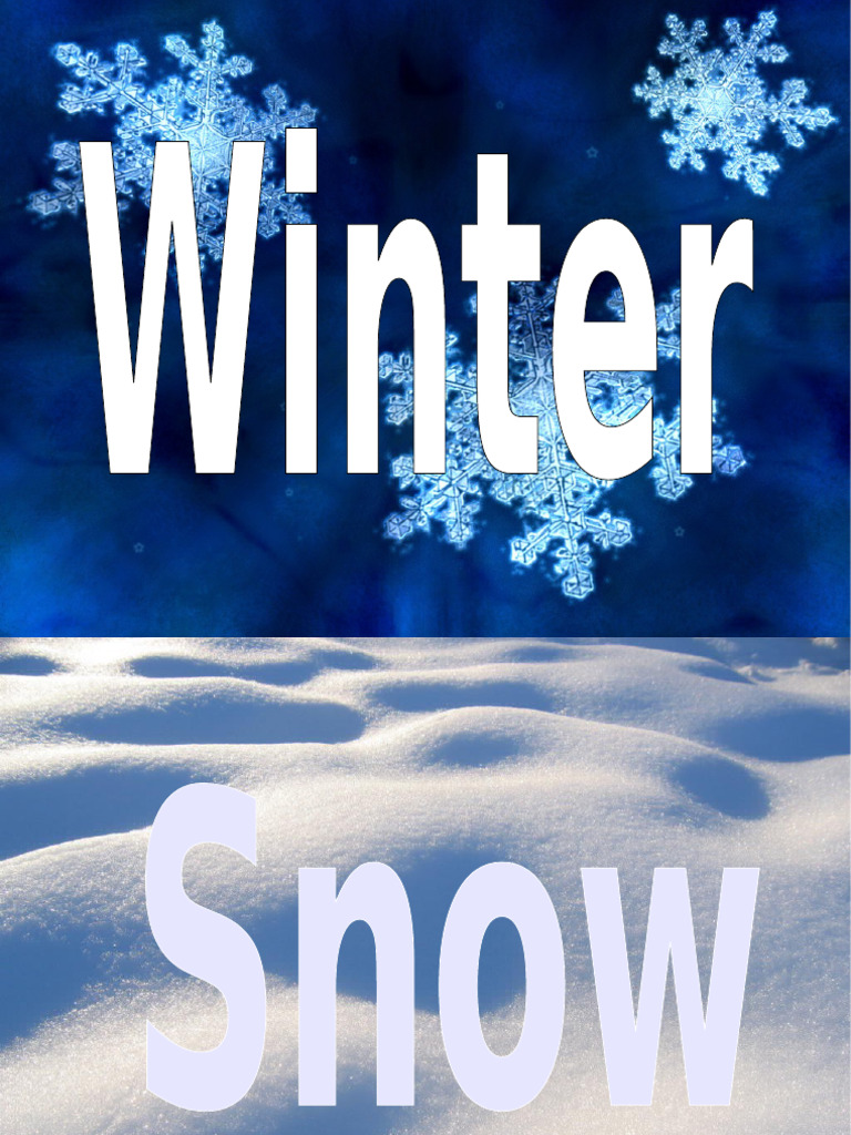 Winter Vocabulary Classroom Posters Flashcards 41766 | PDF