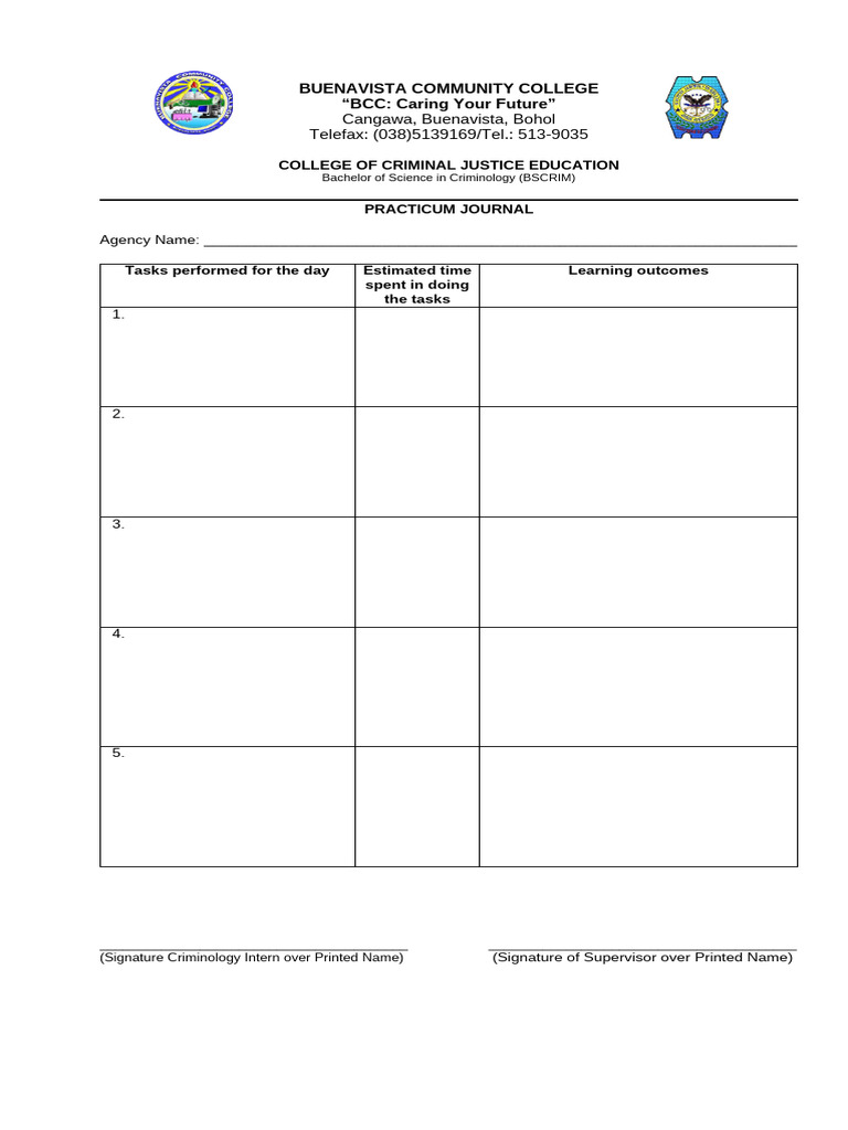 Practicum Journal | PDF