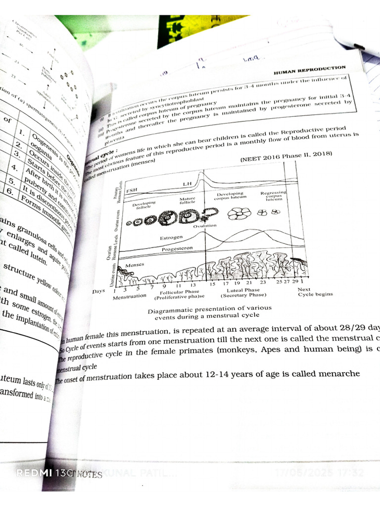 PDFReader_20250517_1734t | PDF