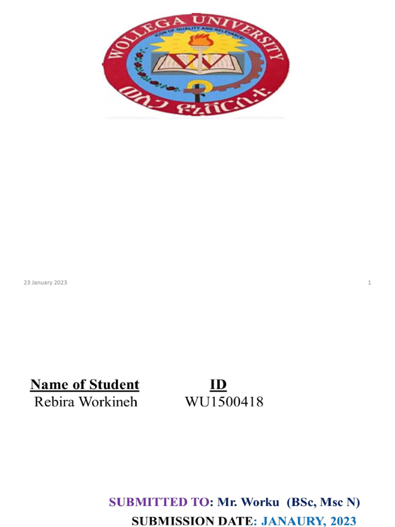 Nursing Theory Seminar Presentation-Smart Class | PDF
