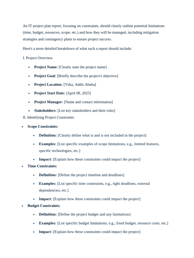 IT Project Plan Reporting | PDF | Risk Management | Business