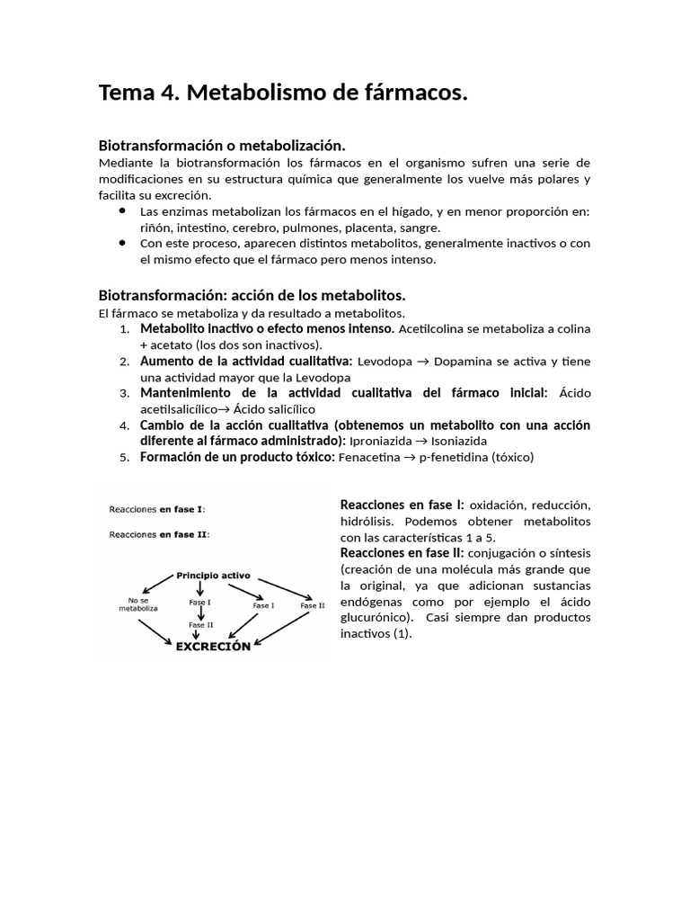 Tema 4 Farma | PDF | Biotransformación | Metabolismo