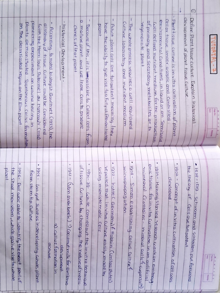 Cognosy 7 To 9 Tutorial | PDF