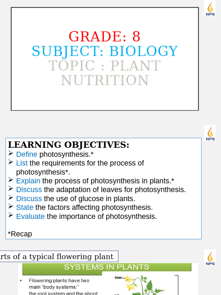 Plant Nutrition and Photosynthesis- Significance Copy (1) | PDF | Leaf ...