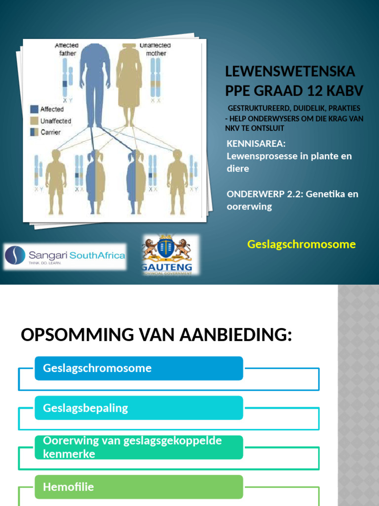 PP9. Geslagschromosome | PDF