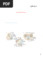 Anatomy of the Osteomeatal Complex | PDF | Human Nose | Human Head And Neck