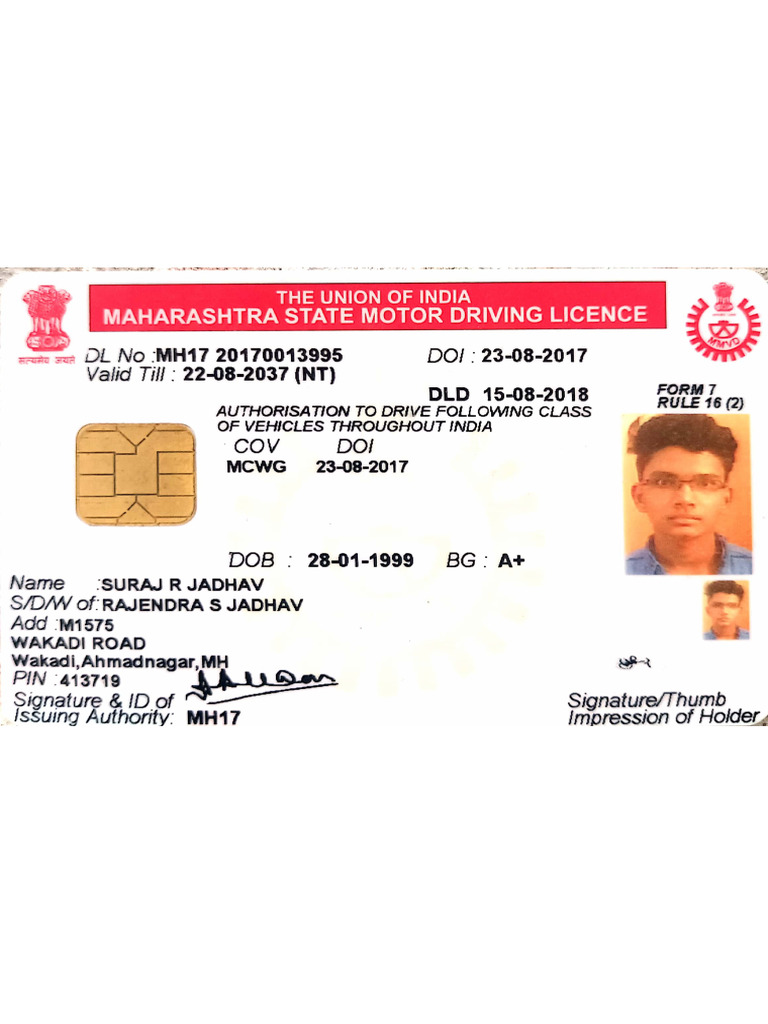 Driving Licence | PDF