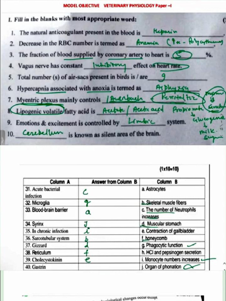 Objective Physio 1 | PDF