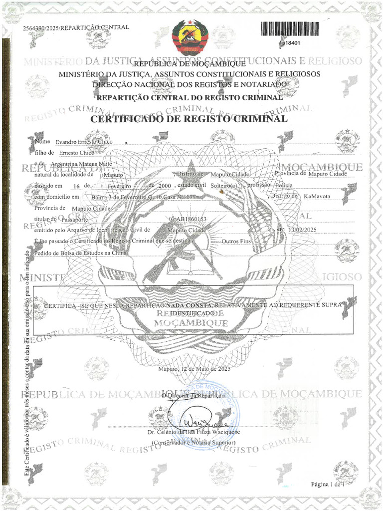 Registro Criminal | PDF