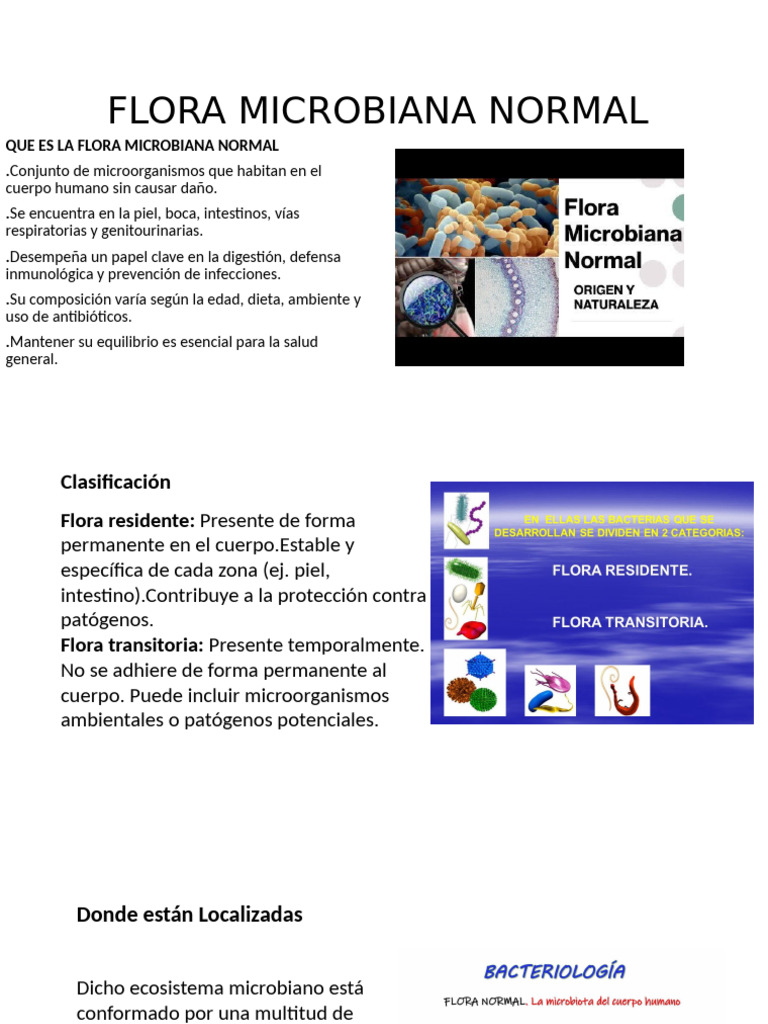 Flora Microbiana Normal | PDF