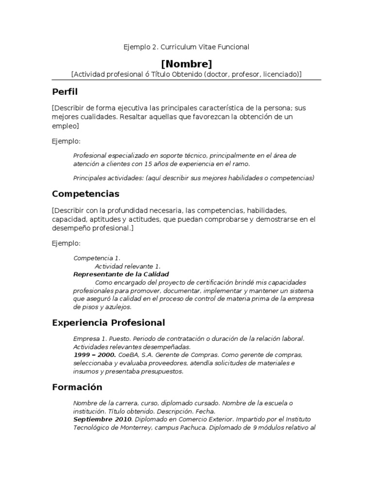 Ejemplo Curriculum Combinado | PDF
