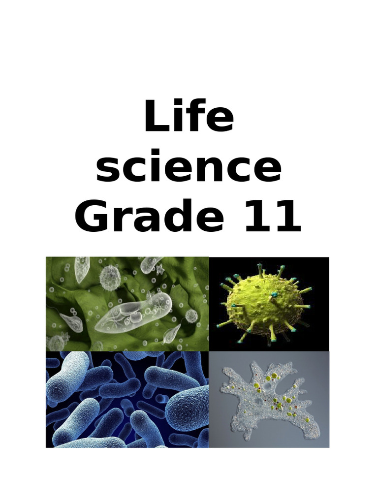 Life Science Notes Grade 11 | PDF | Flowers | Sexual Reproduction