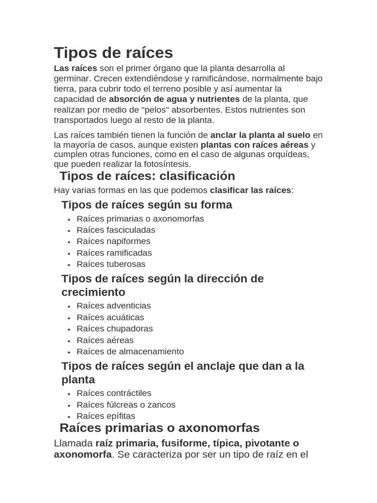 Tipos de Raíces | PDF | Raíz | Plantas
