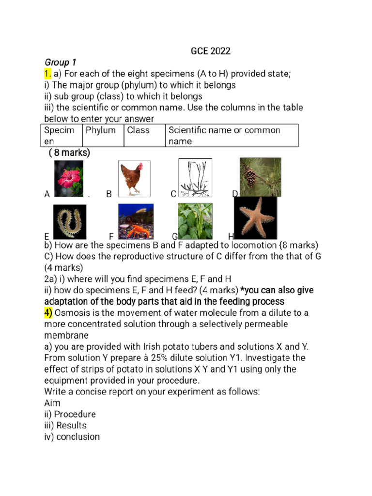 GCE Paper 3 General Révision | PDF