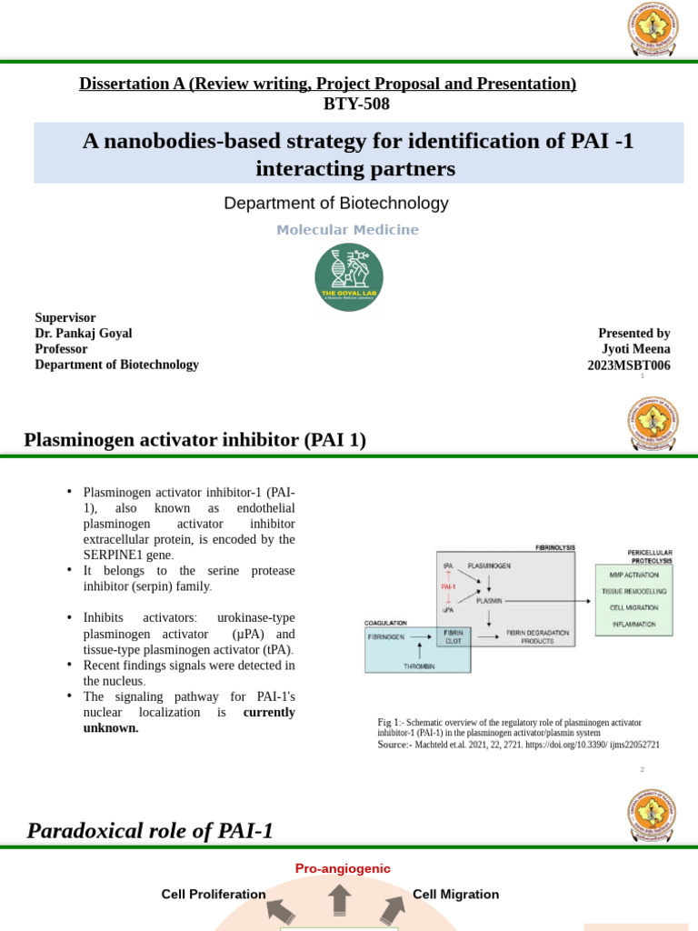 Research Proposal | PDF | Protein–Protein Interaction | Nutrients