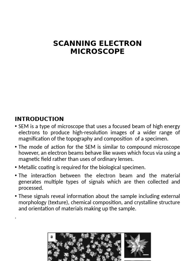 Scanning Electron Microscope Lecture | PDF | Scanning Electron Microscope | Electron