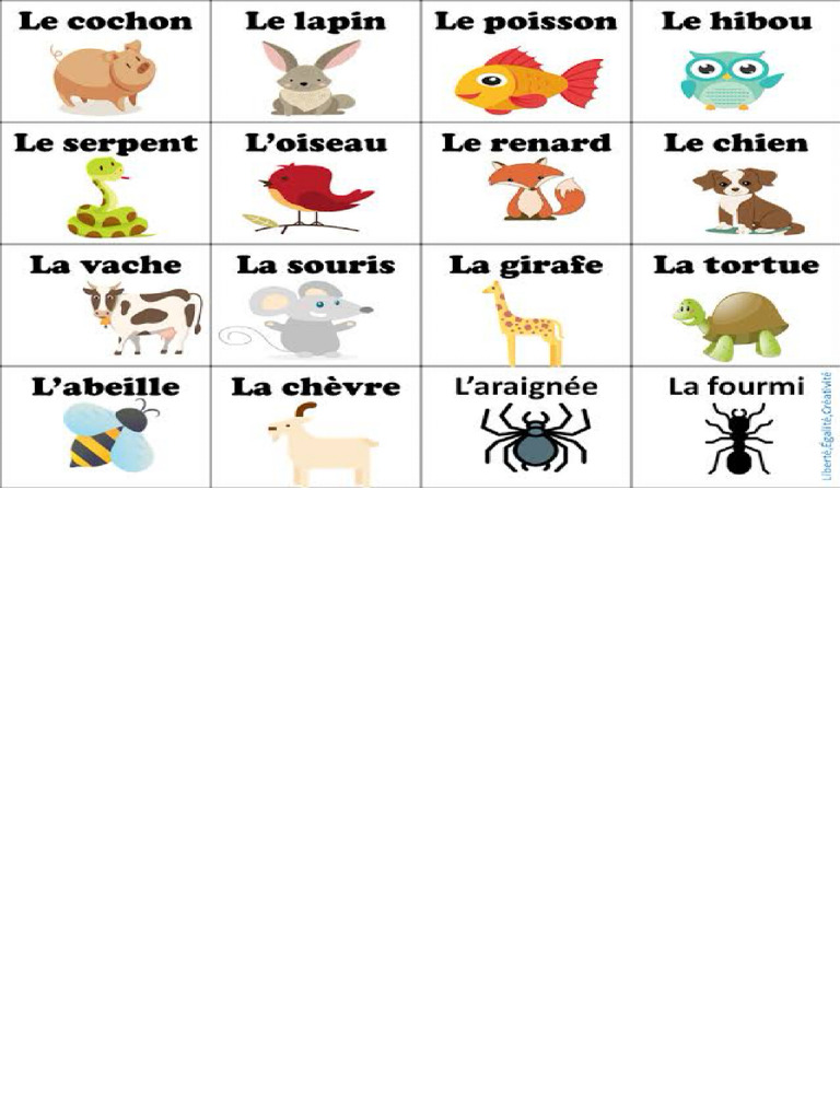 Adjuntotarea - JPG 1.024×768 Pixels | PDF