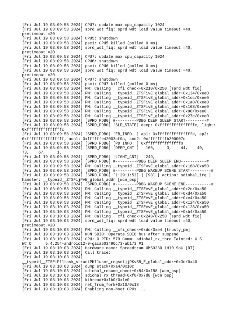Standby Kernel Log 2024 0719 032947 | PDF | Cpu Cache | Booting