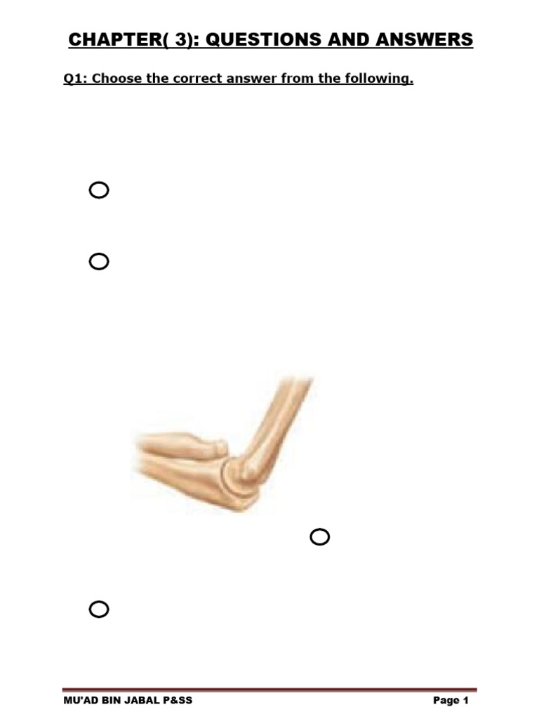 Biology F4 CHAPTER 3 Q AND A 2022 | PDF | Skeleton | Skin