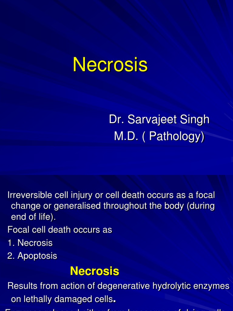 Necrosis and Gangrene Pathology Overview | PDF | Necrosis | Fat