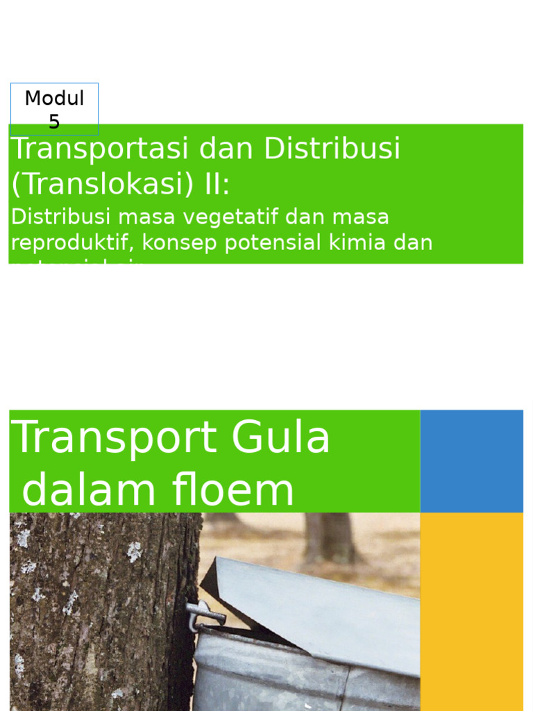 Modul05-Transportasi Dan Distribusi (Translokasi) II | PDF