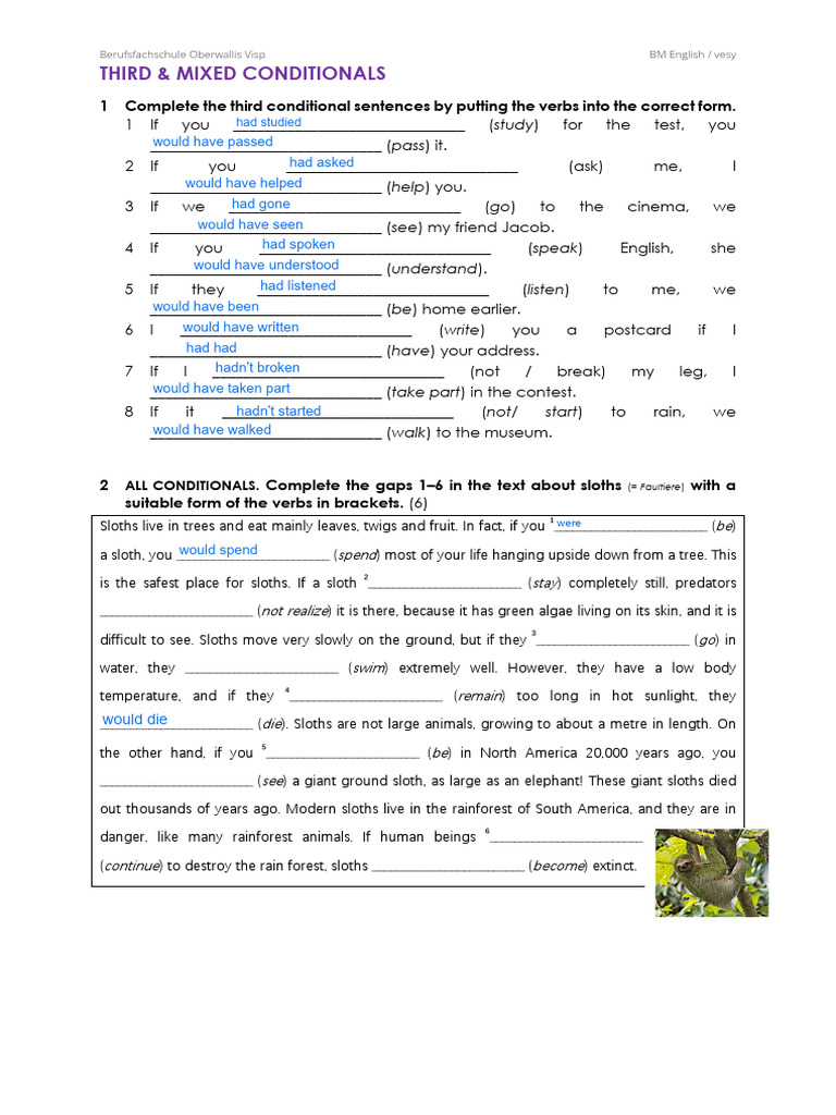 Third and Mixed Conditionals Exercises | PDF
