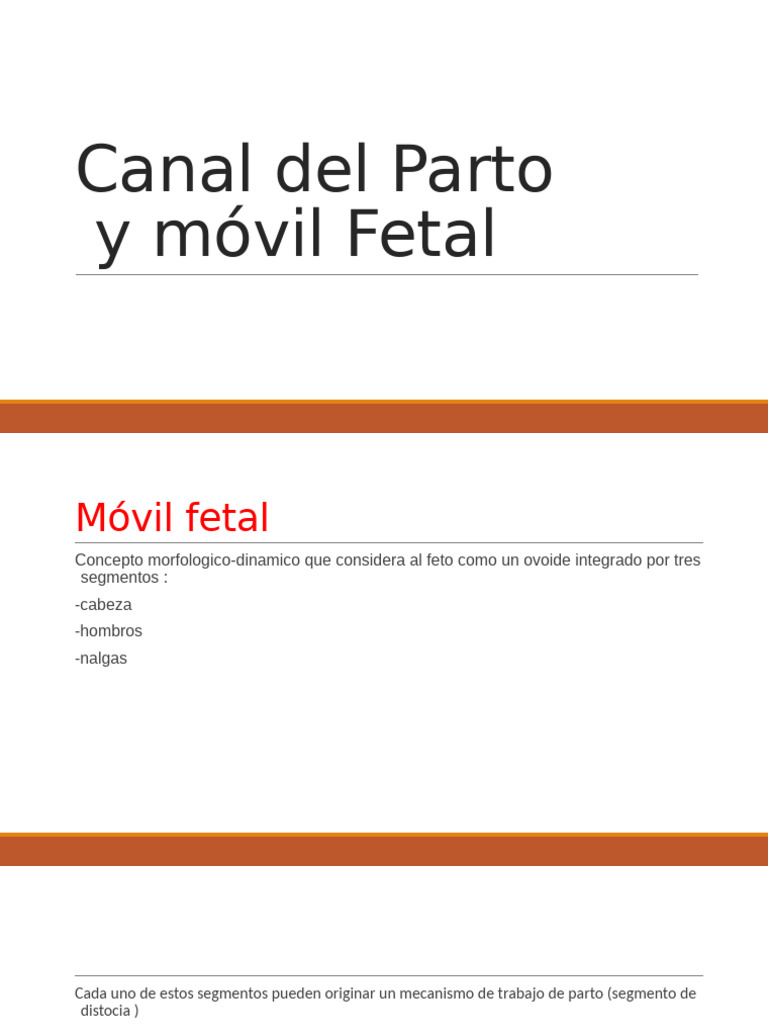 Anatomía y Dinámica del Canal del Parto | PDF | Cráneo | Pelvis