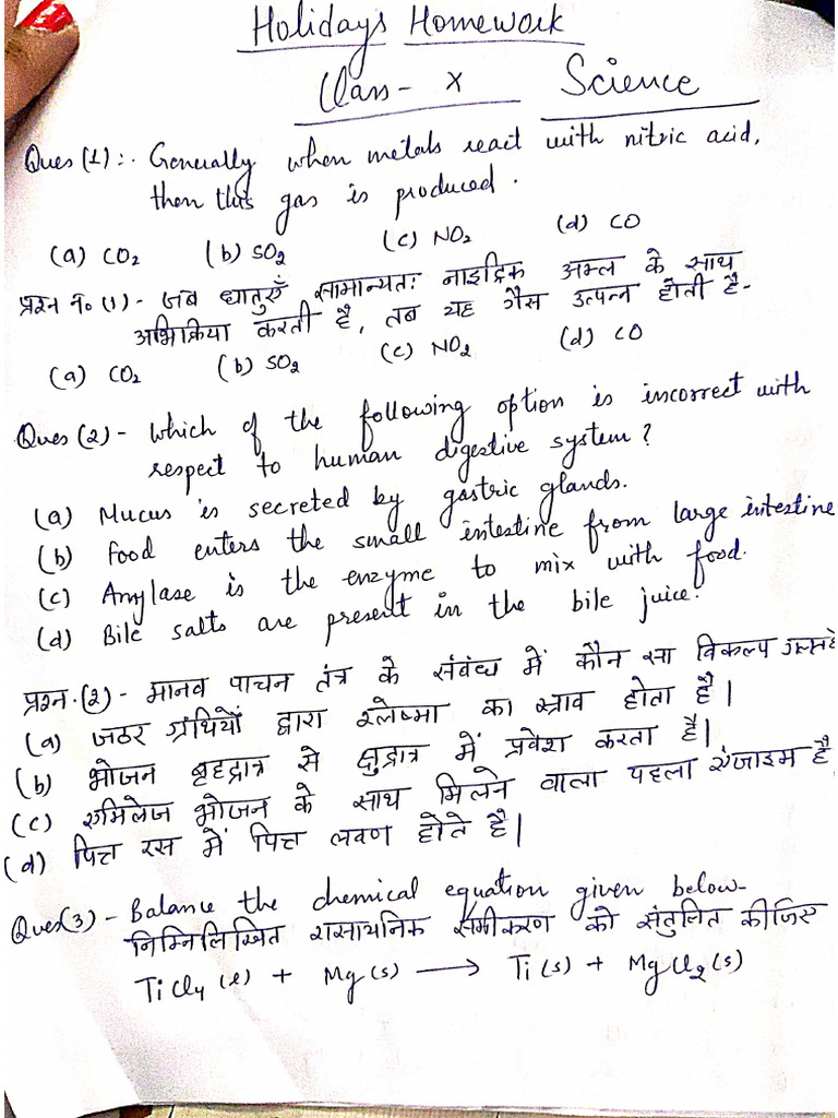 Summer Holiday Homework Class 10 Science | PDF