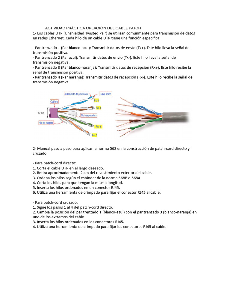 Actividad Práctica Creación Del Cable Patch | PDF | Ingenieria ...