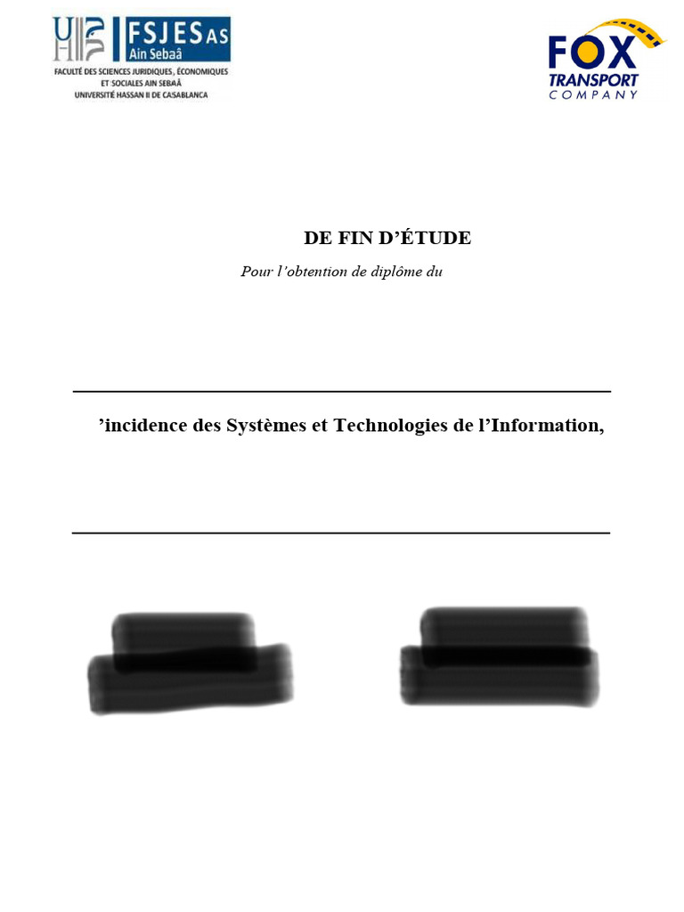 Pfe Nezha Chahdali Master Cca 2023 | PDF | Progiciel de gestion intégré | Système d'information