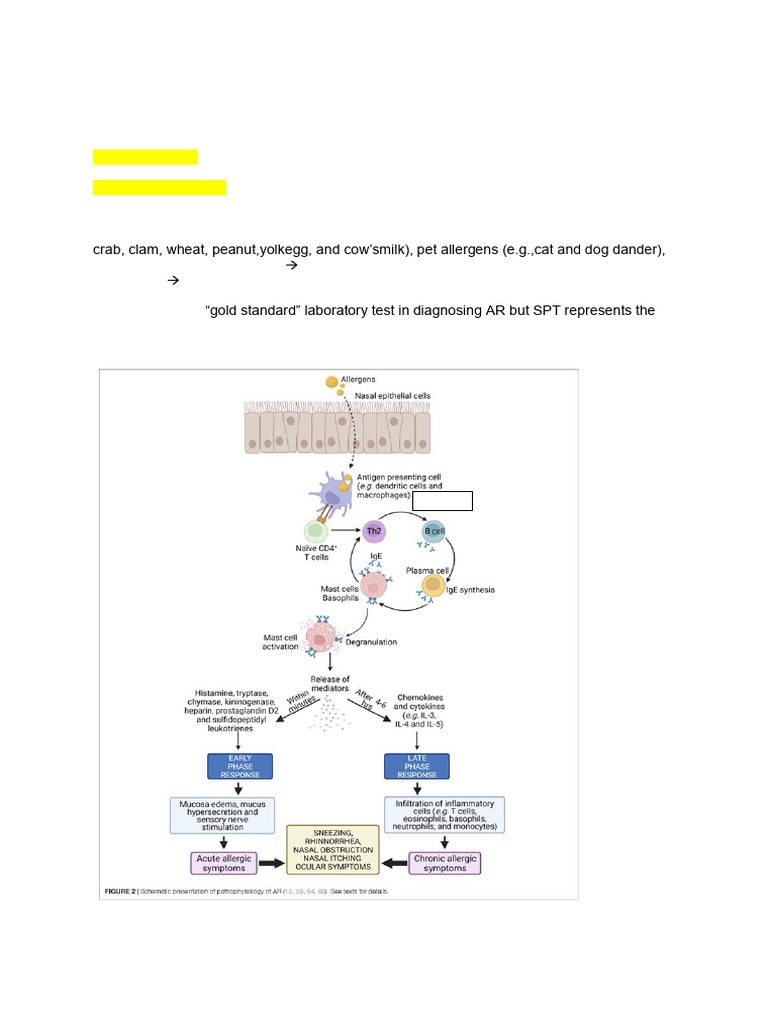 SUMMARY OF PATHOPHYSIOLOGY | PDF | Respiratory Tract | Chronic ...