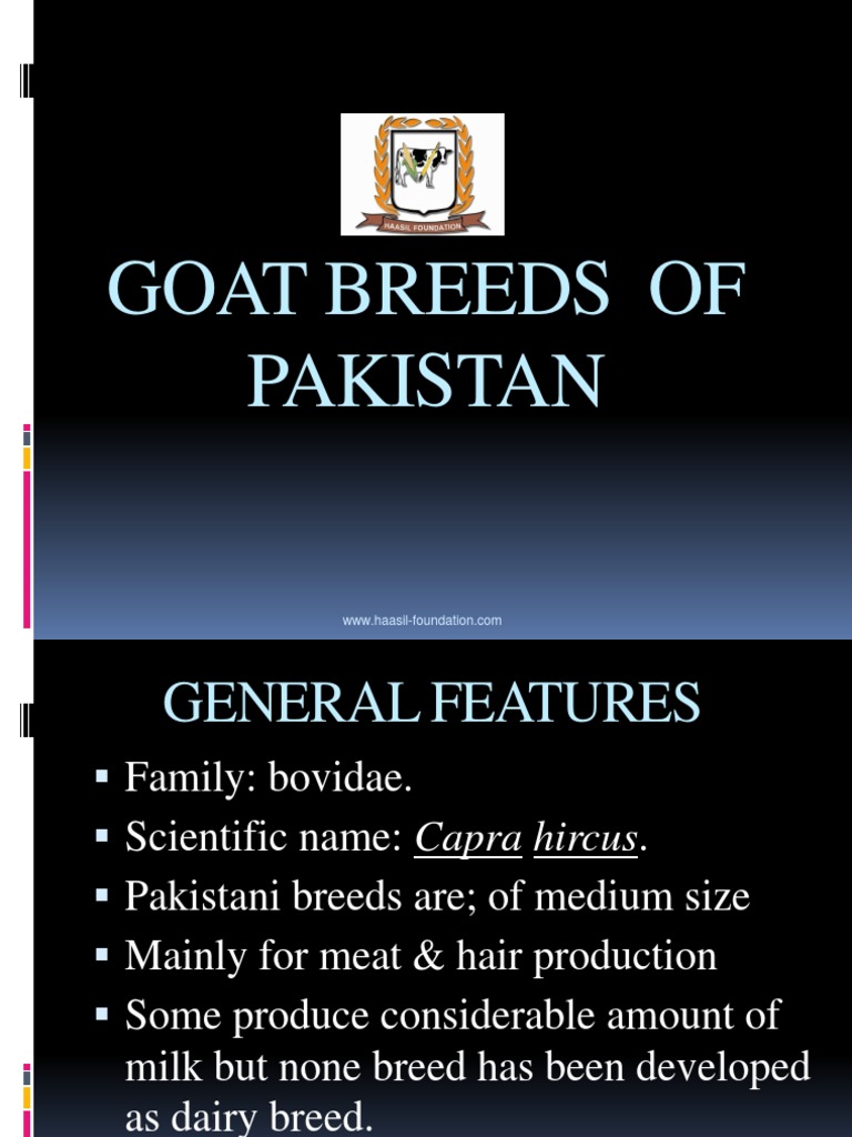 Goat Breeds of Pakistan | PDF | Caprids | Mammals Of Asia