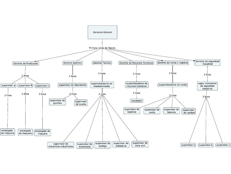 Organigrama Mixto | PDF