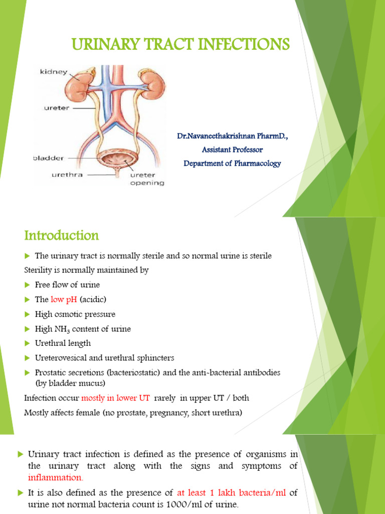 Urinary Tract Infection Pdf Urinary Tract Infection Urinary System