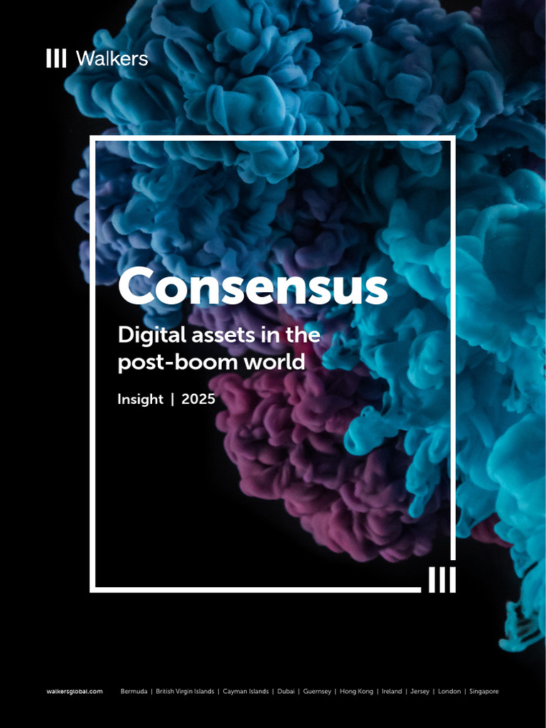 Consensus 2025 White Paper Digital Assets in The Post Boom World | PDF ...