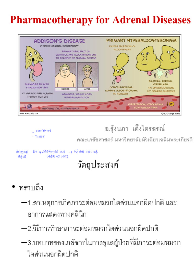 3 Adrenal Diseases 1-2567 Student | PDF