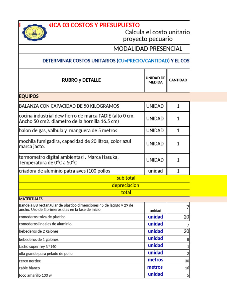 Joseph Borja Calle Costos | PDF