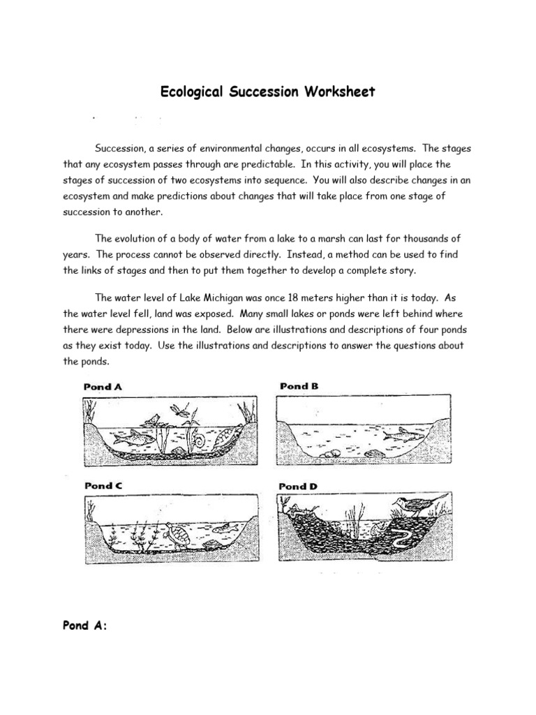 Ecological Succession Worksheet - 9289096 | PDF | Pond | Systems Ecology