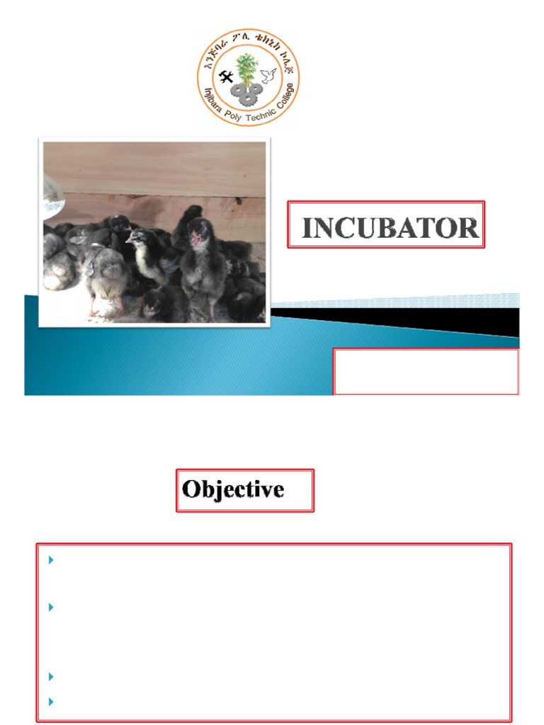 Chicken Egg Incubator Design Overview | PDF | Chicken | Egg