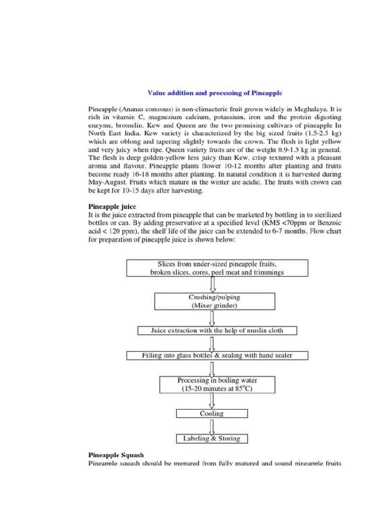 Pineapple Juice Processing | PDF