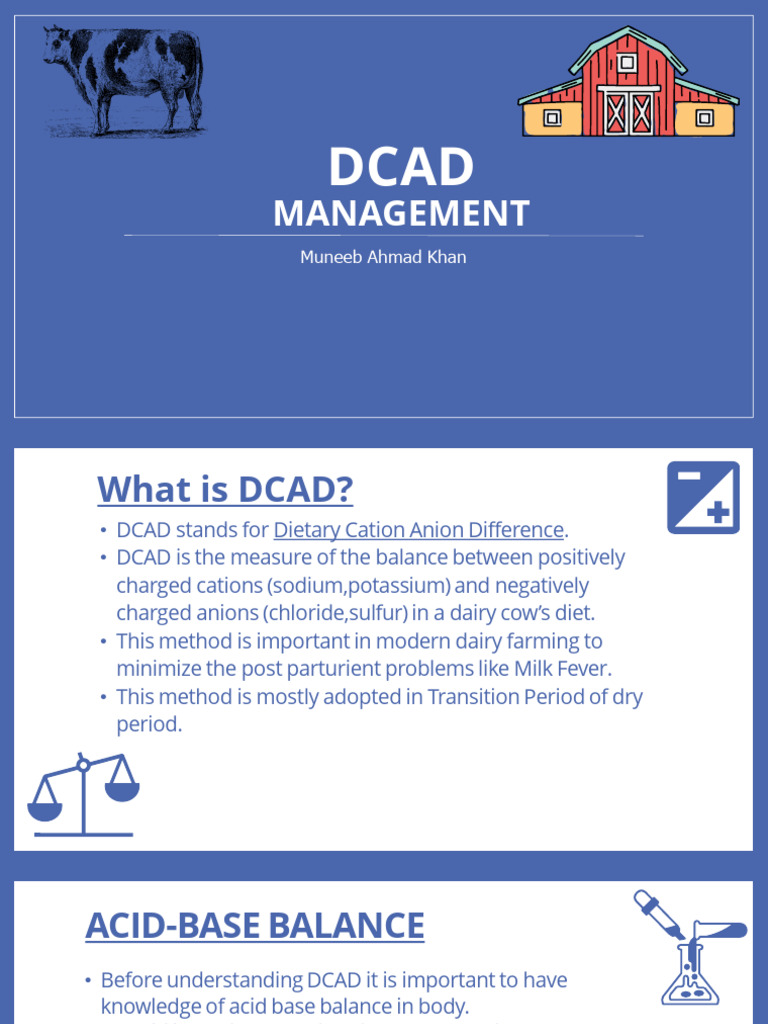 Dcad Management 1737882884 | PDF | Chloride | Ion