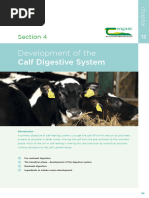 Nutritional Analysis of Corn Products | PDF
