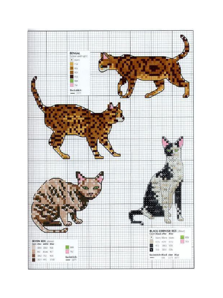 Exotic House Cats Cross Stitch Pattern | PDF