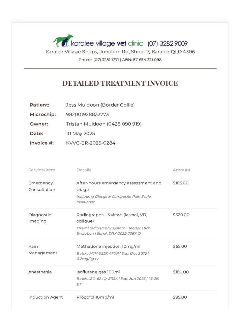 Detailed Receipt - Jess Muldoon - Karalee Village Vet Clinic | PDF ...