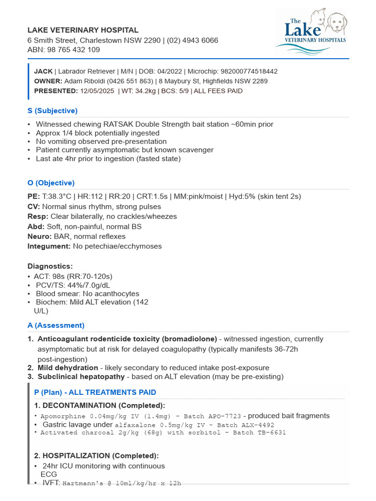 VETERINARY CLINICAL NOTES - Jack (Labrador Retriever) | PDF