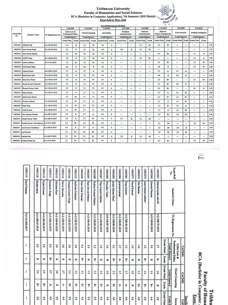 BCA 7th Sem 2019 Batch Result | PDF