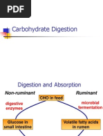 Animal Nutrition Notes PDF | PDF | Digestion | Ruminant