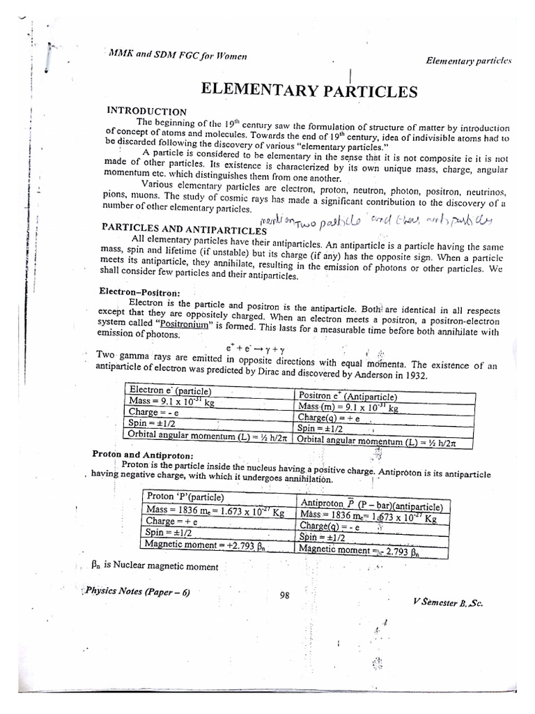 Particle Physics | PDF