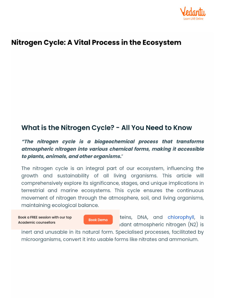 Nitrogen Cycle - A Vital Process in The Ecosystem | PDF